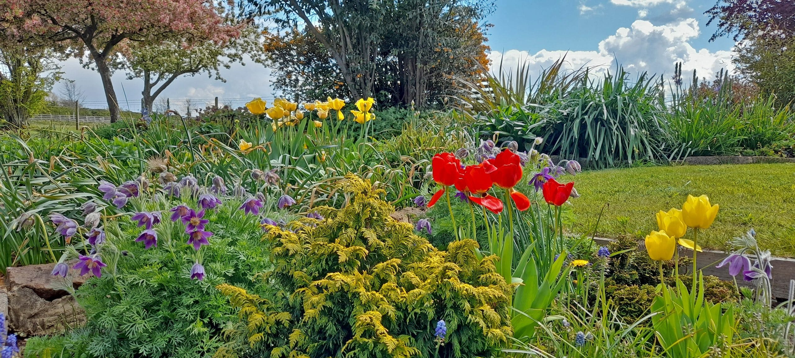 Our history | Katharine House Hospice
